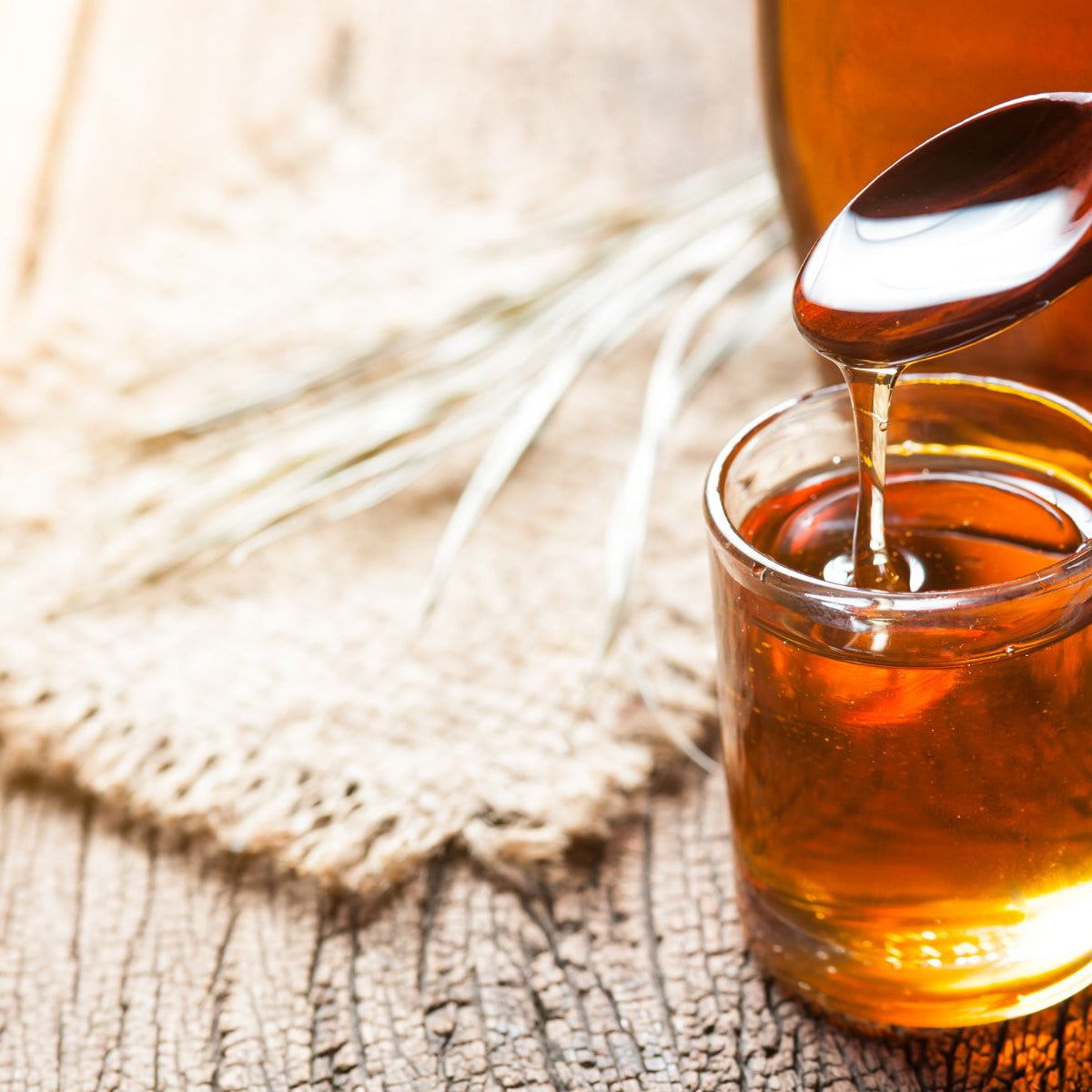 From Tree to Table: How To Make Your Own Maple Syrup – Plant Me Green