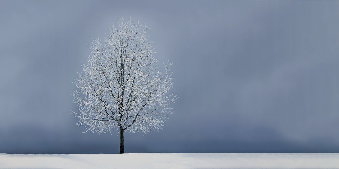 Plant Hardiness Zones and Chill Hours – Plant Me Green