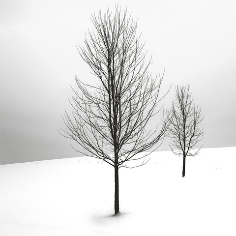 Plant Hardiness Zones and Chill Hours – Plant Me Green