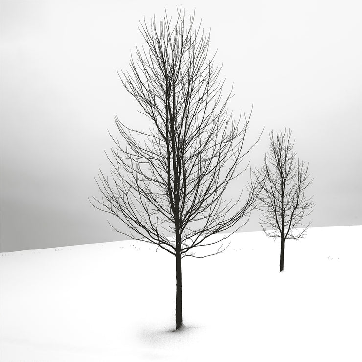 Plant Hardiness Zones and Chill Hours – Plant Me Green