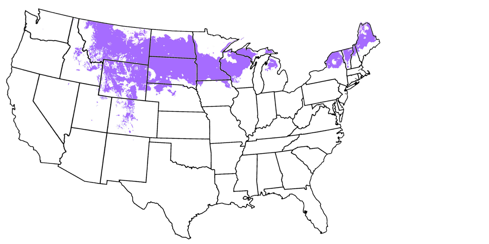 Plants for USDA Zone 4 – Plant Me Green