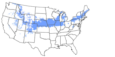 Plants for USDA Zone 5 – Plant Me Green
