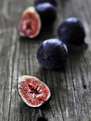 Fig Trees - Black Mission – Plant Me Green